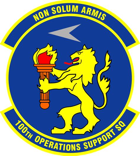100th Operations Support Squadron