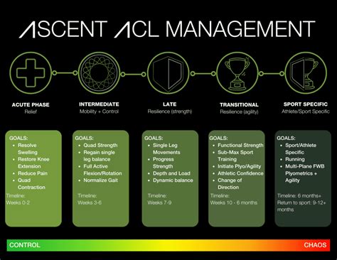 Understanding ACL Injuries And The Recovery Process Ascent Health