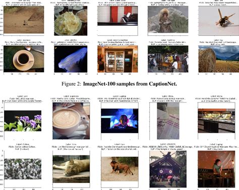 Caption Supervision Enables Robust Learners