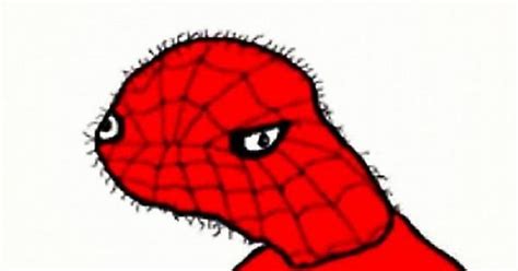 Ne Imgur Luv 4 Spoderman Imgur