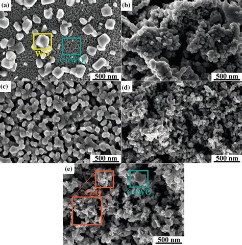 Fe Sem Micrographs For The Samples Obtained At Ph A 2 B 4 C 6 D 8 Download Scientific