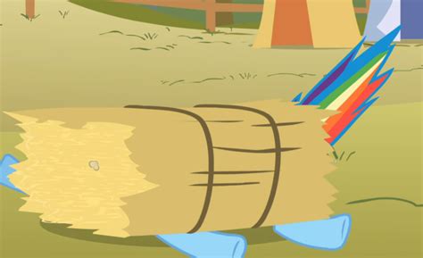 Rainbow Dash Blank Template Imgflip Rainbow Dash Blank Template Imgflip