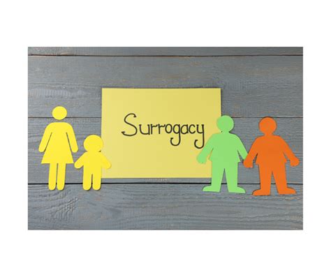 Matching Part 2 New York Surrogacy Center