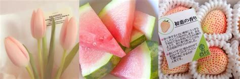 🍉🌷🍓 In 2024 Header Banner Twitter Header Header