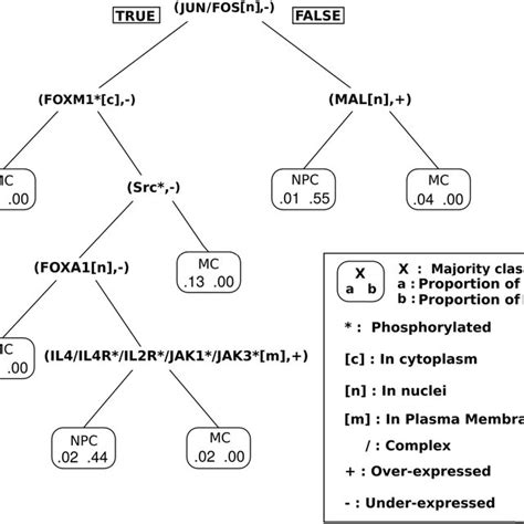 Decision Tree Based On Predicted Node Sign Assignments Download Scientific Diagram