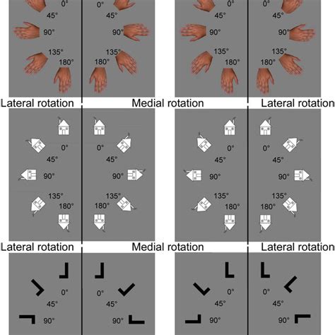 Stimuli Of The Mental Imagery Task Stimuli Result From The Combination Download Scientific