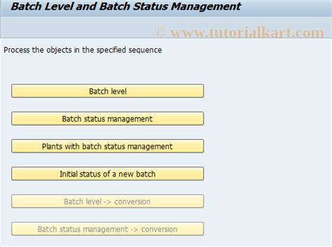 OMCT SAP Tcode Batch Definition