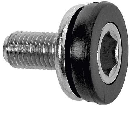 Chrome Carriage Bolt