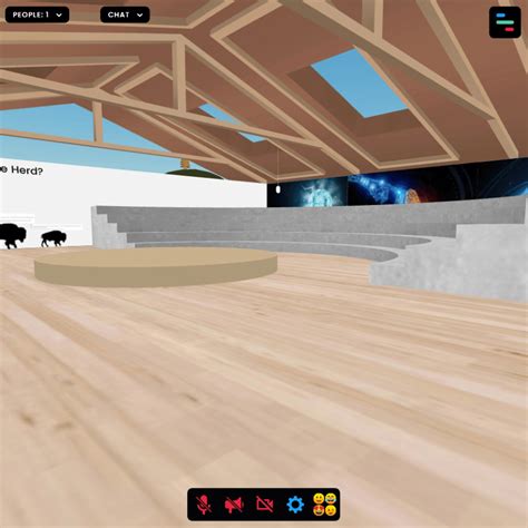 frame vr cipa