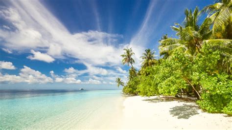 How To Have Public Sex 50 Spots And Tips To Safe And Sexy Adventures Lovense Sex Blog