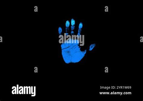 Digital Fingerprint Scanner Scan Biometric Identity Access Password