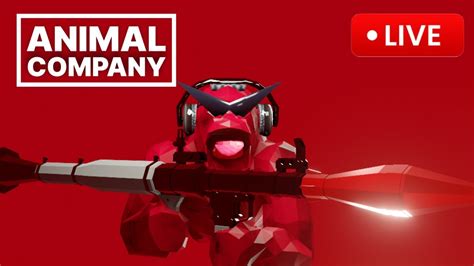 🔴animal Company🔴animal Company Vr Live Youtube
