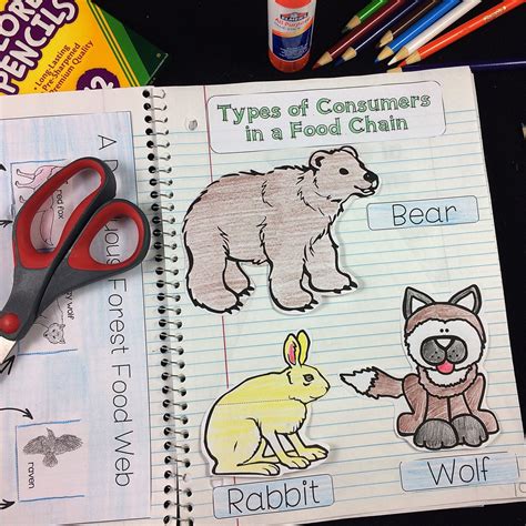 getting started with interactive notebooks — the classroom nook