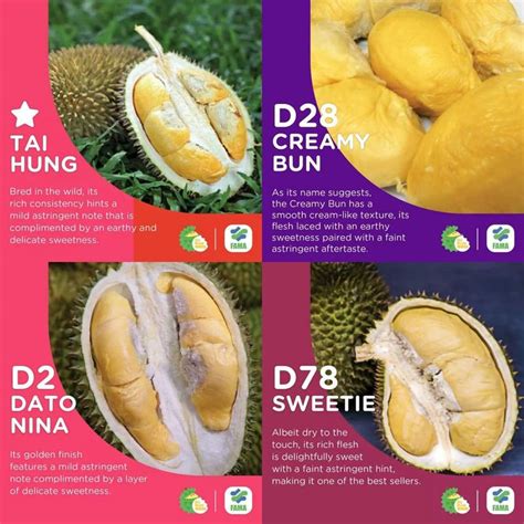 Koh Yong Peng On Linkedin Durian Malaysiafruit