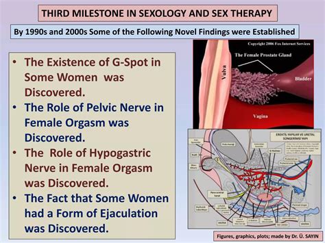 The Limits Of Female Sexual Response Pptx