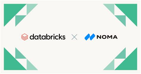 Securing The Ai Lifecycle Databricks Ventures Invests In Noma Security