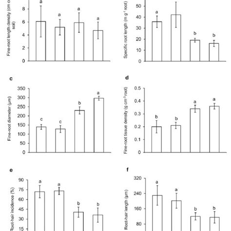 Length Density A Specific Length B Diameter C Tissue Density