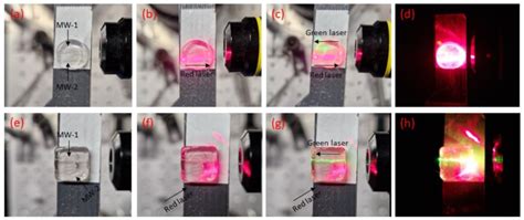 A Optical Microscope Photo Of A Multipath Waveguide In Which Two Download Scientific Diagram