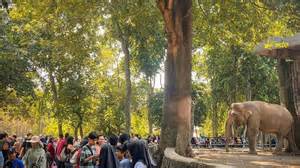 Harga Tiket Masuk Ragunan Desember 2025 Untuk Liburan Keluarga Akhir Tahun Tribun Travel