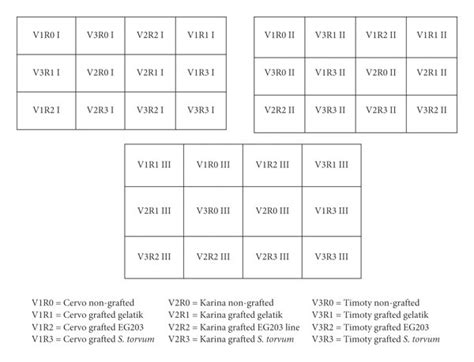 Field Experimental Setup Using A Randomized Block Design Download