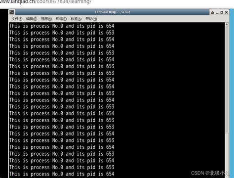 【操作系统】进程创建实验进程的创建实验 Csdn博客