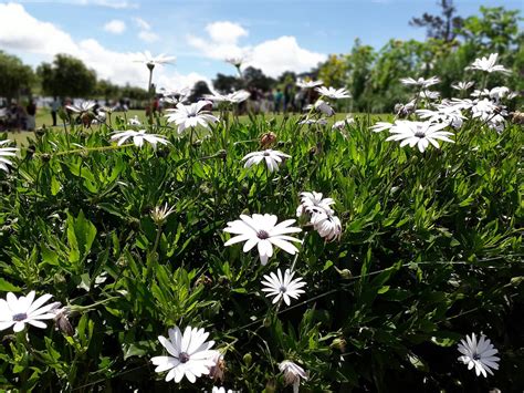 Provisioning Complete Kubernetes Cluster Using Kops In Aws Cloud By