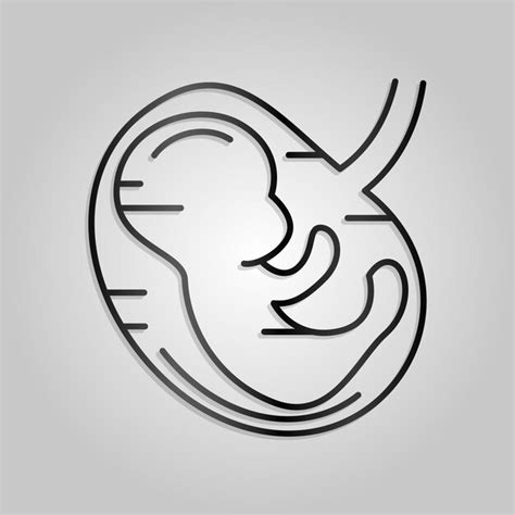 Premium Vector Charts Design Assets