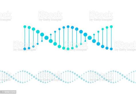 벡터 과학 디자인 요소입니다 흰색 배경에 격리 된 평평한 파란색 그라데이션 Dna 나선형 기호 및 수평 테두리 원활한 패턴 과학