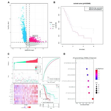 Bioinformatics Analysis Of Abca12 A Volcano Map Of Differential Download Scientific