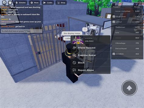 how did they get this display name r roblox