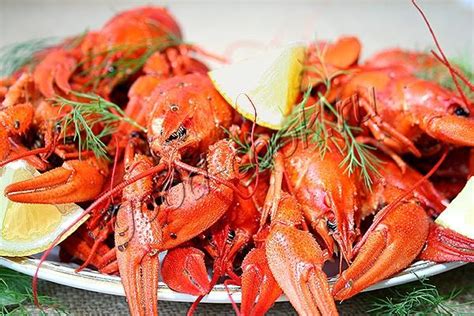 Вареные раки. Рецепт приготовления