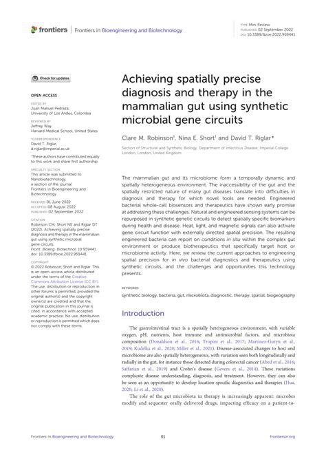 Pdf Achieving Spatially Precise Diagnosis And Therapy In The
