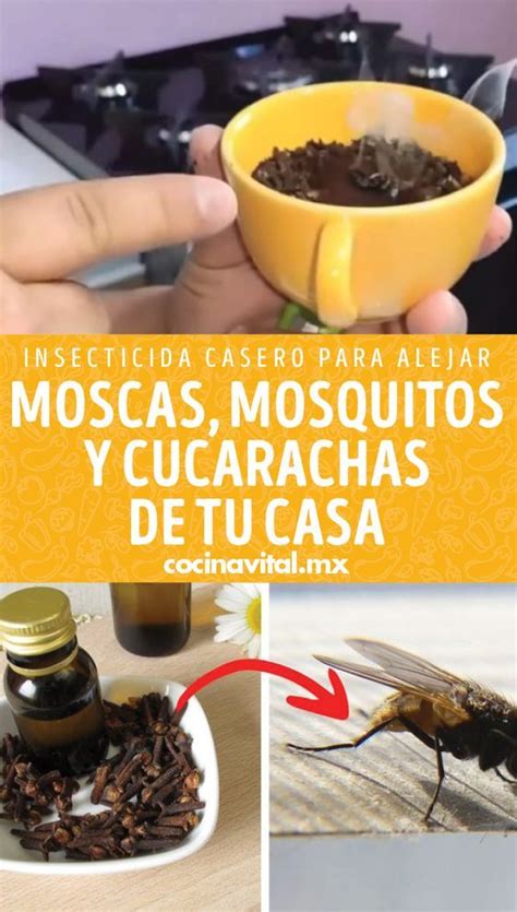 Insecticida Casero Para Alejar Moscas Mosquitos Y Cucarachas De Tu
