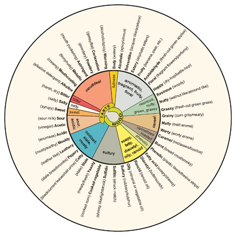 Beer Tasting Guide At Alice Fisher Blog