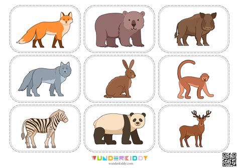 Printable Animal Classification Sorting Preschool Activity