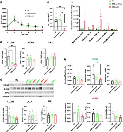 A Psychosis Subgroup Shows Extensive Bbb Leakage A Teer Across 6 Days