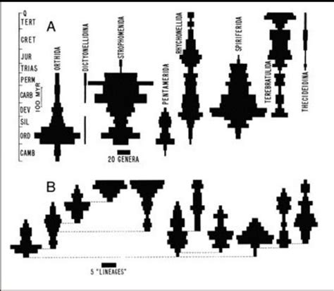 Comparison Between Patterns Of Clade Size Evolution A And Download Scientific Diagram