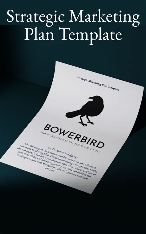 Strategic Marketing Plan Template The Bowerbird Agency