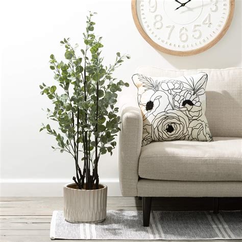 Robust Potted Eucalyptus Tree Independent Interiors
