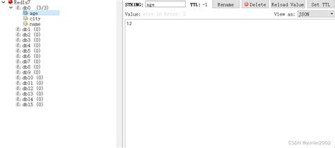 Redis 基本命令 Csdn博客