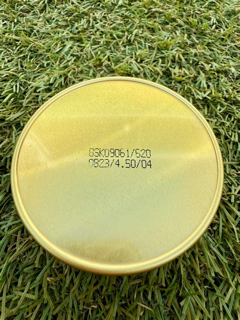 Qys Pointed Pesados Balines 500uds Carabinas Y Visores Tienda Gamo