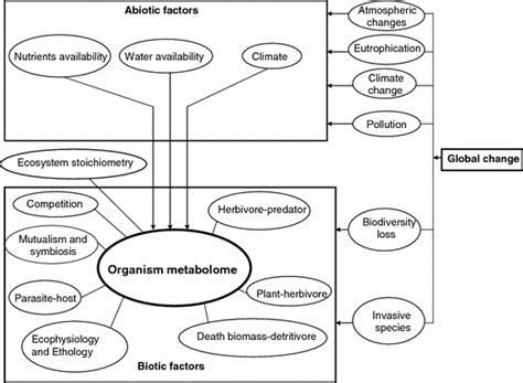 Ecological Metabolomics Overview Of Current Developments And Future Challenges Springerlink
