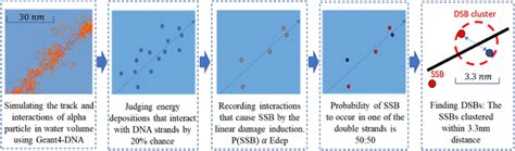 A Computational Scheme From Alpha Particle Track Simulation Using
