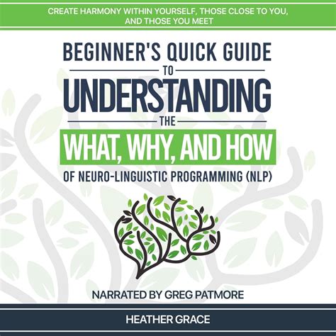 Beginner S Quick Guide To Understanding The What Why And How Of Neuro Linguistic Programming