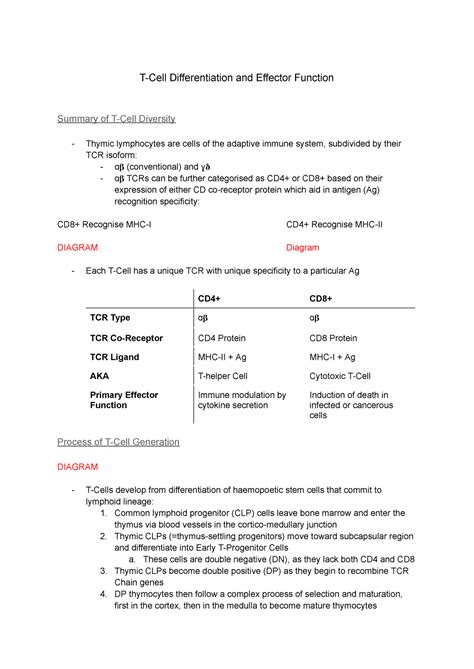 BMD T Cell Differentiation And Functions T Cell Differentiation And Effector Function