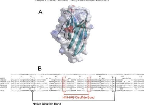 Figure 3 From Engineering Disulfide Bonds Within An Antibody Semantic Scholar