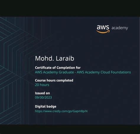 Laraib Khan Posted On Linkedin