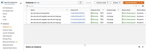 Aws Eks Ec2 Asg Cto Ai Product Docs