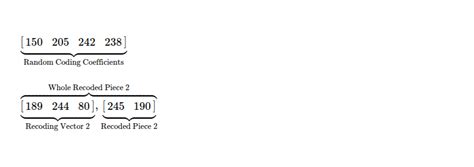 Random Linear Network Coding
