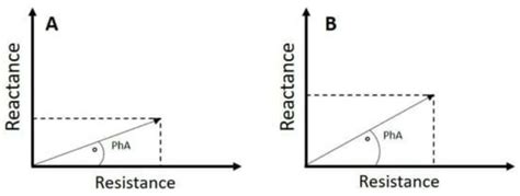 Phase Angle A Key Indicator Of Cell Membrane Health